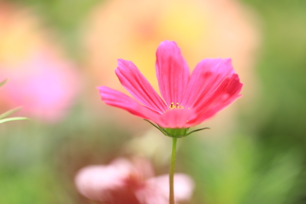 なにげない日々: お喋りしましょう♪